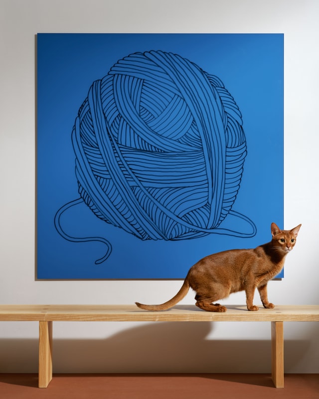 Silk Wall. Matte magnetic glass dry erase whiteboard in 24 colors. | LINTEX